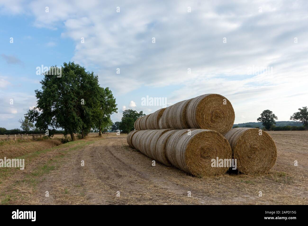Stack of round bales of straw on a stubble field in the Wesermarsch ...