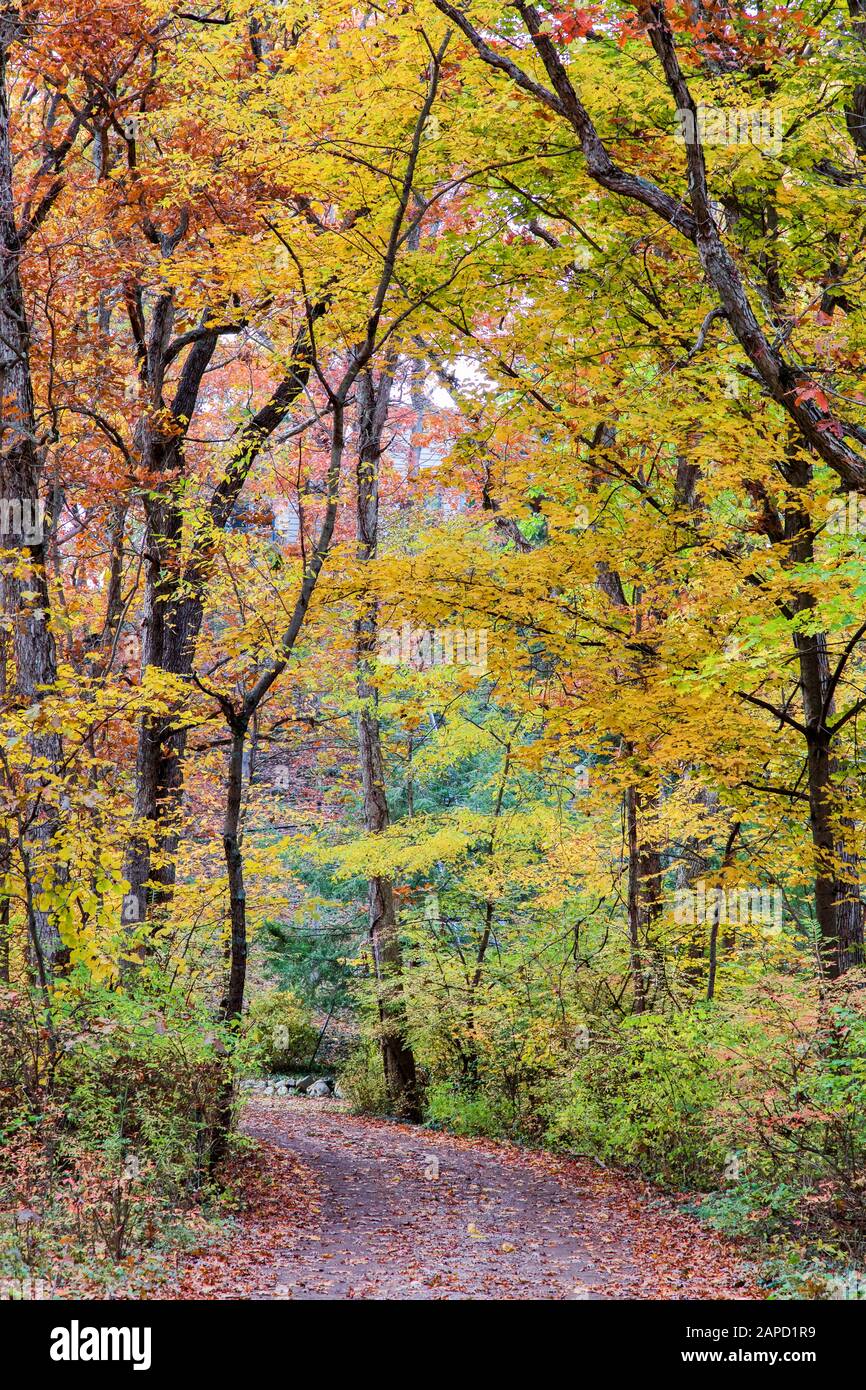 Michigan Fall Colors Stock Photo - Alamy