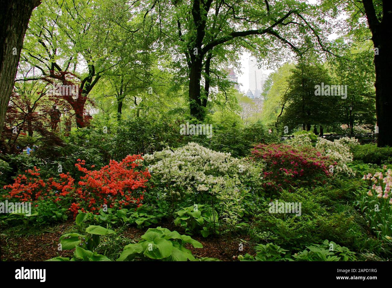 Nyc flowers hi-res stock photography and images - Alamy