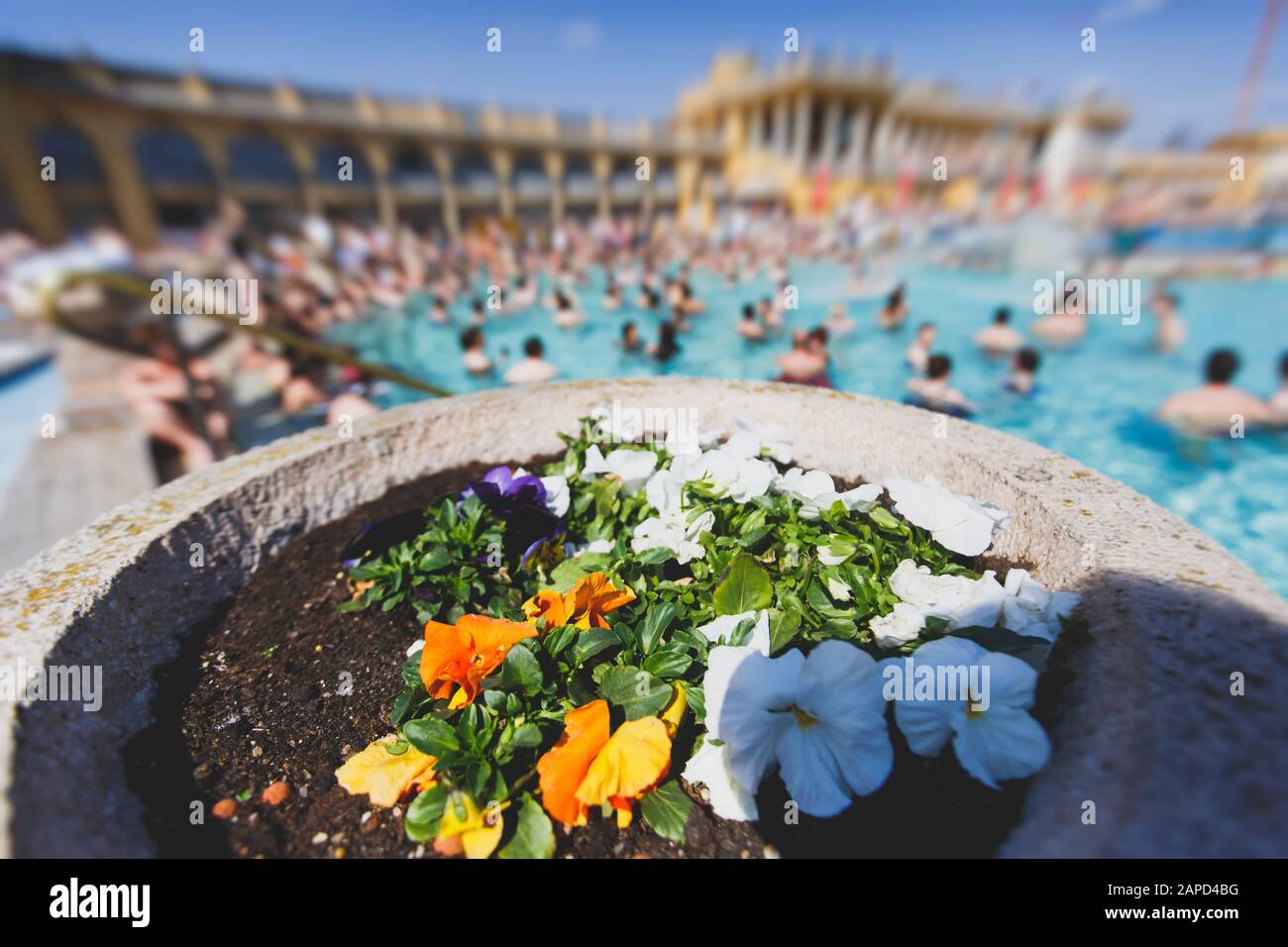 Budapest Spa Szechenyi Thermal Bath spa swimming pool with blue sky in ...