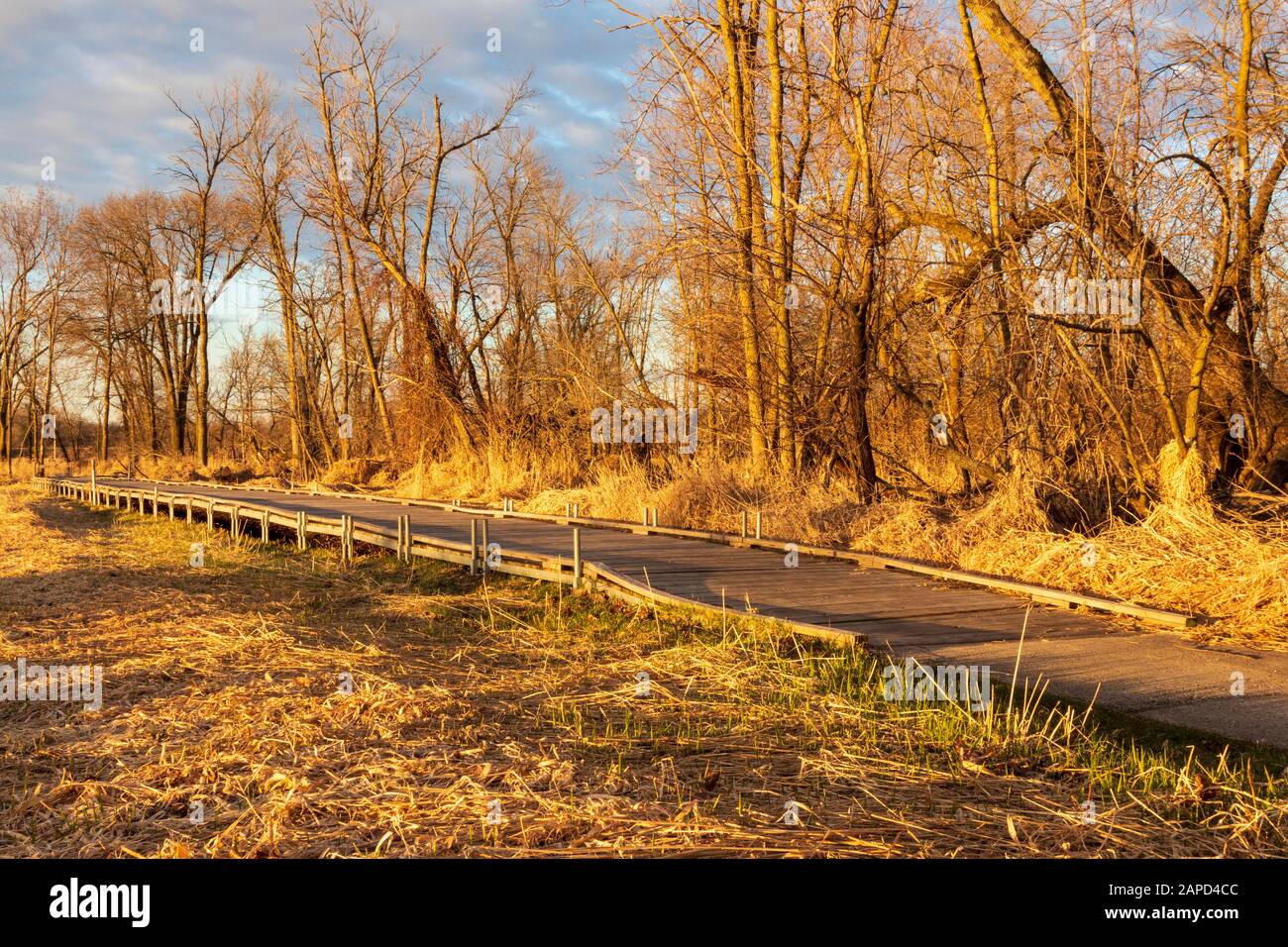 Boardwalk path hi-res stock photography and images - Alamy