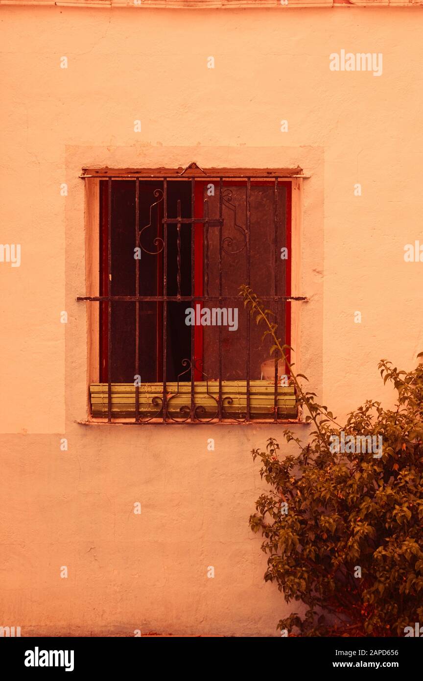 A traditional window with a fence in a country house with a plant to ...
