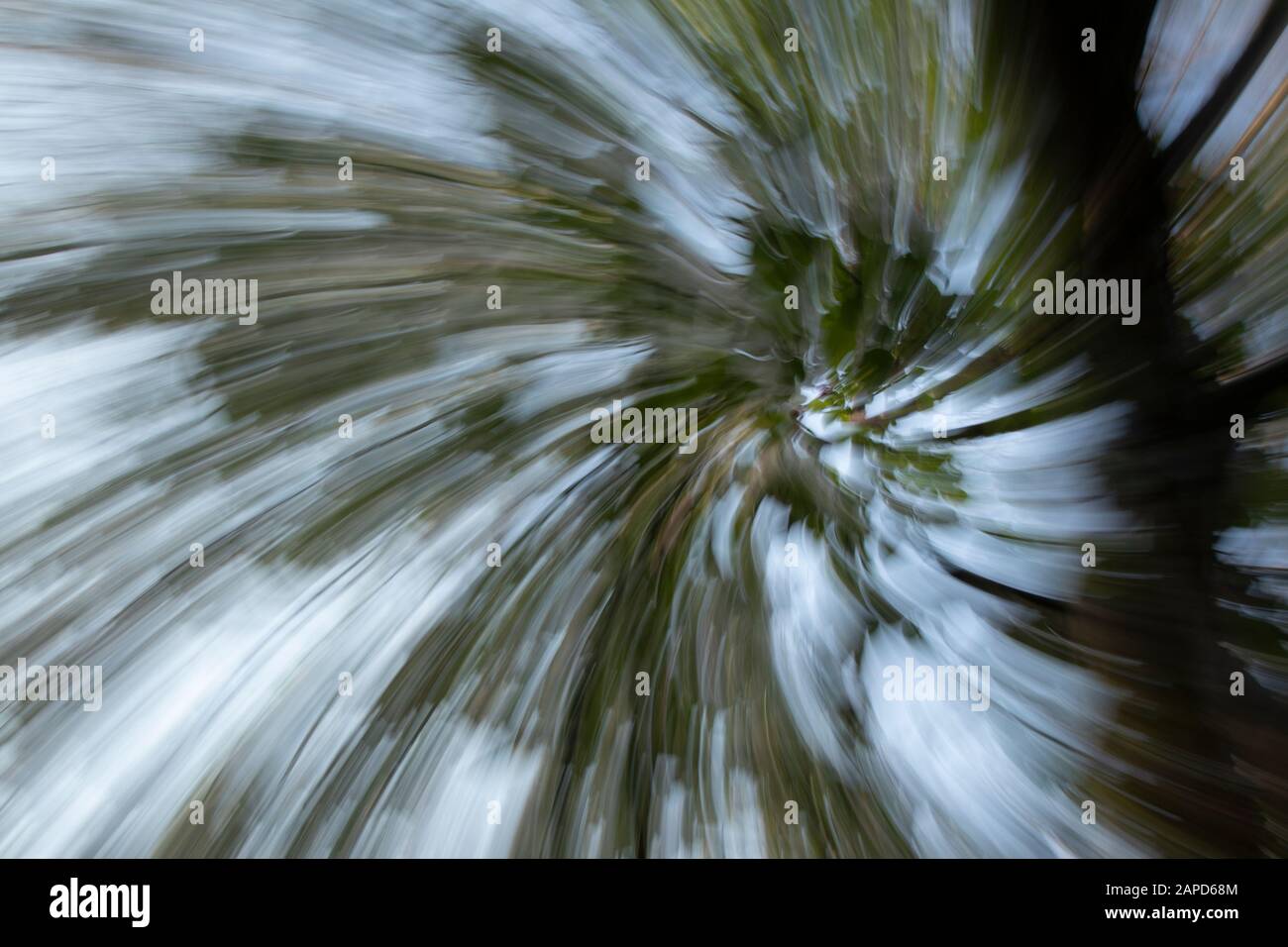 Abstract of a Spring Tree in Bloom. In-Camera Effect Stock Photo - Alamy