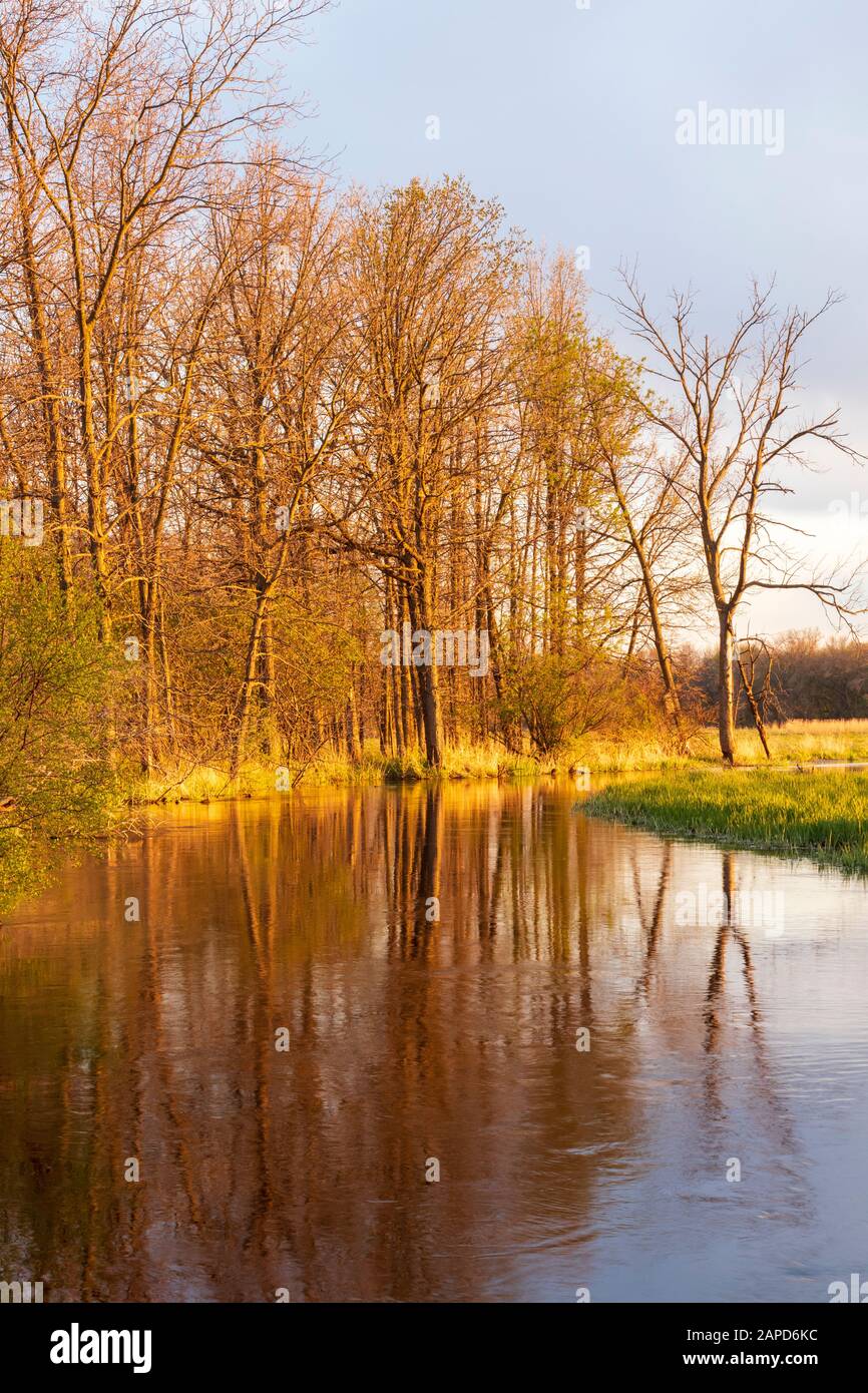 Trees in Reflection at Sunrise at Fox River in Brookfield, Wisconsin ...