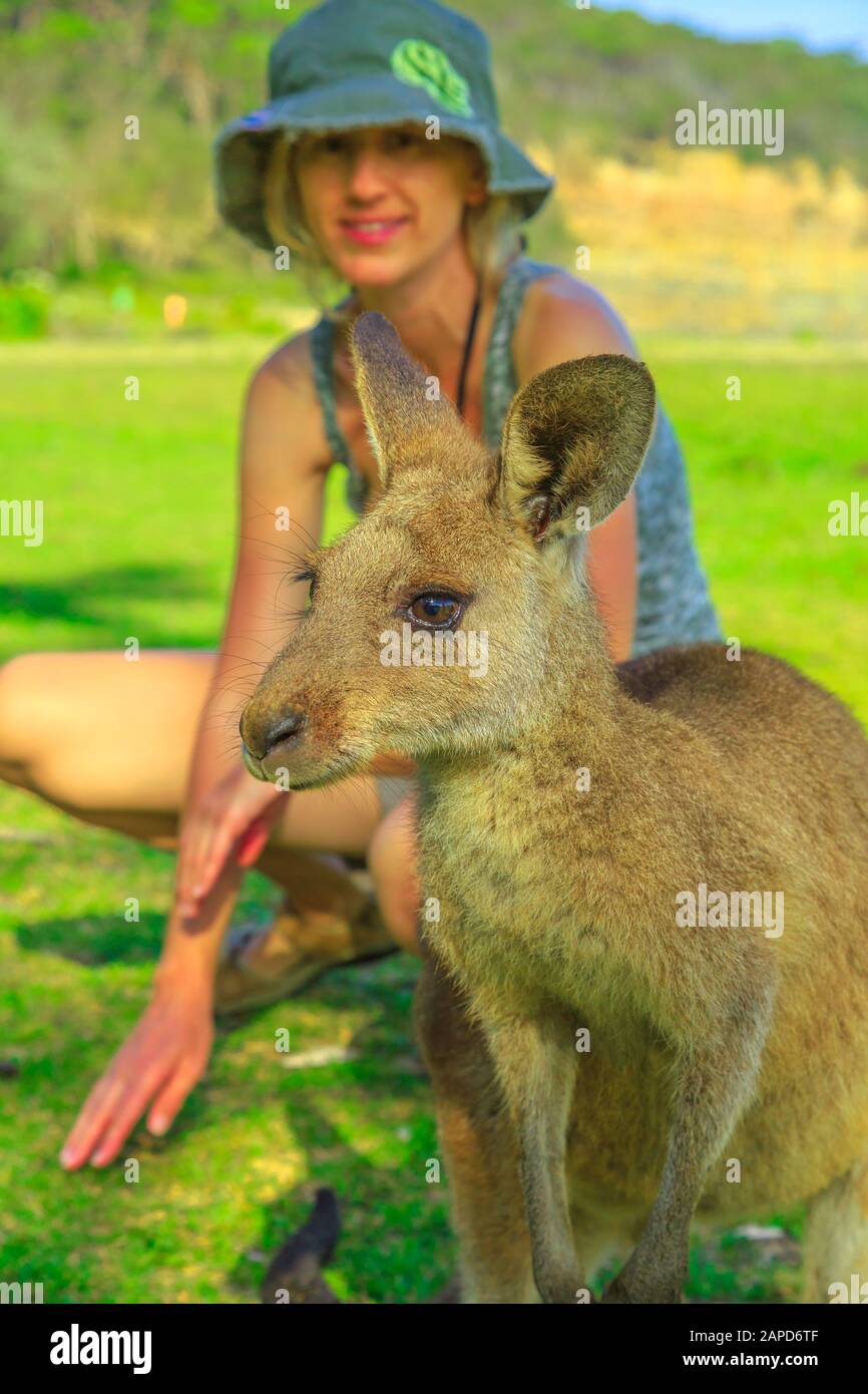 South australian animals hi-res stock photography and images - Alamy