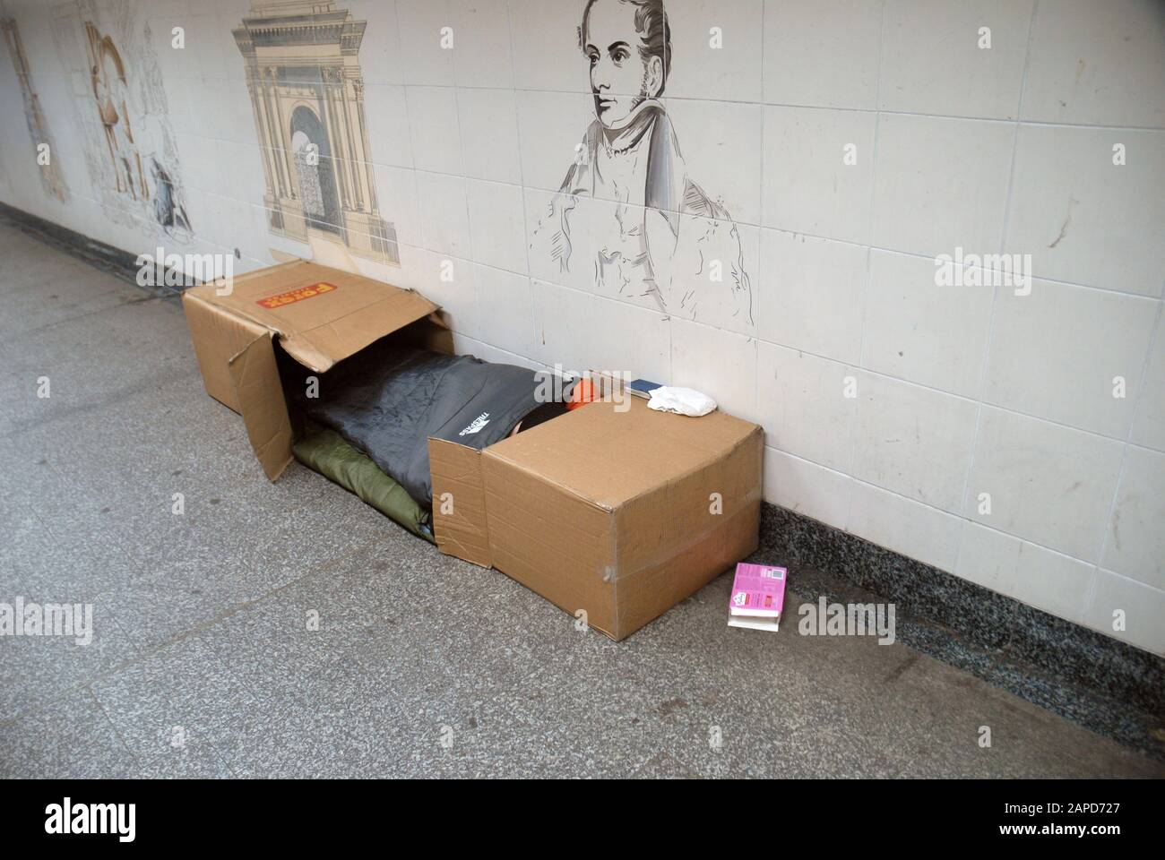 Homeless Cardboard Box House