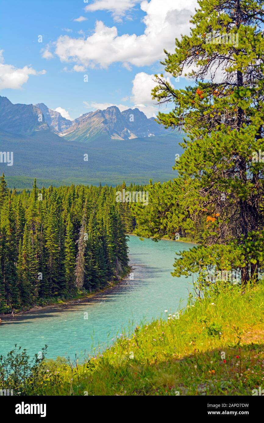 The Bow River in Banff National Park Stock Photo - Alamy