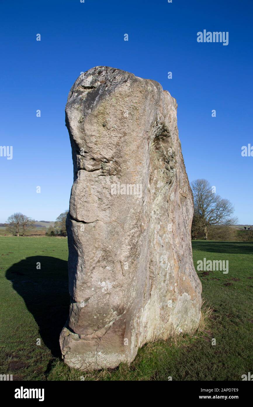Standing stone of sarsen - part of the neolithic stone circle monument ...