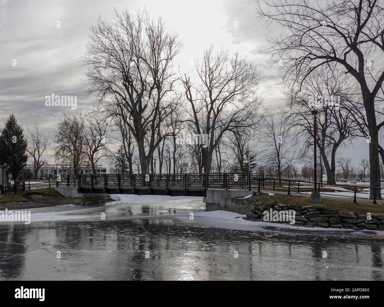 overexposed sun behind deciduous trees in winter reflecting into the ...