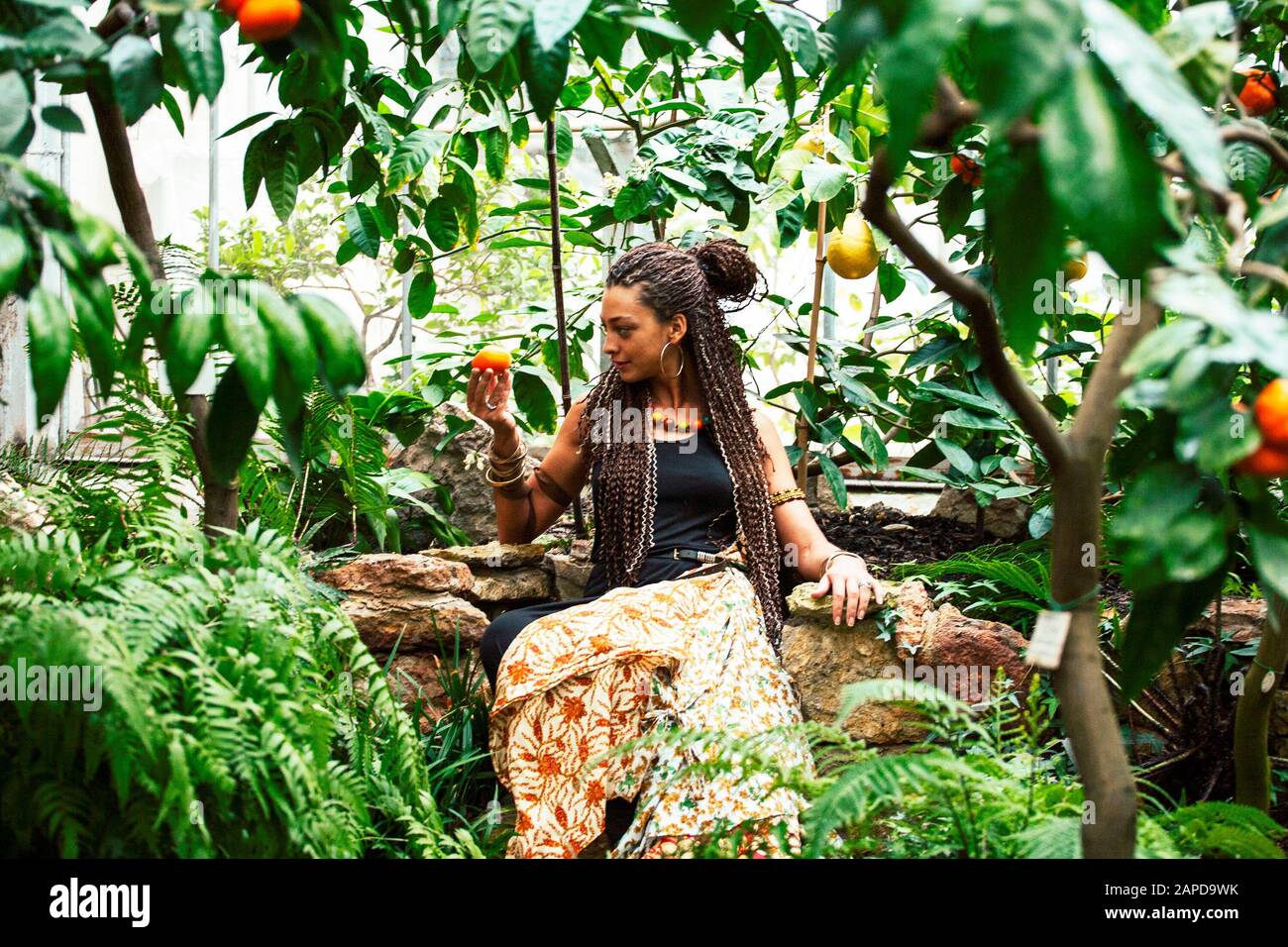pretty islam woman in orange grove smiling, real muslim girl cheerful ...