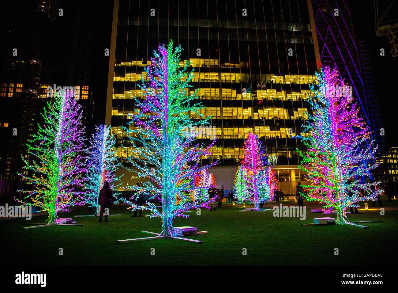 'Sasha Trees' by Adam Decolight at Canary Wharf Winter Lights Festival ...