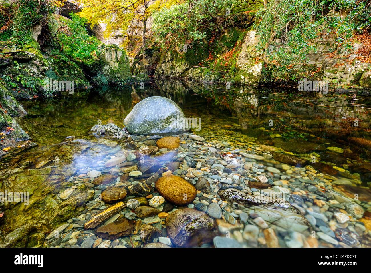 Calm pond with wet round rocks, mossy and rocky riverside in Tollymore ...