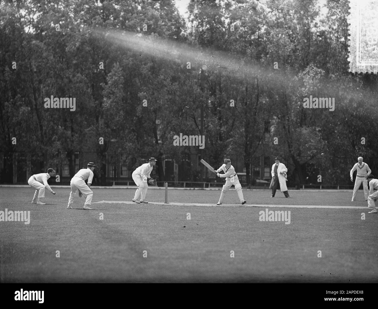 Cricket ncb team hi-res stock photography and images - Alamy