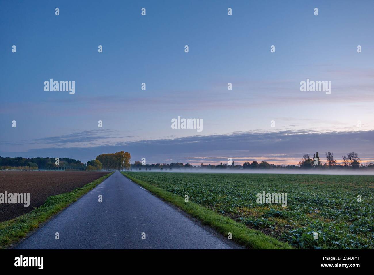 Empty road between agricultural farm and land field in countryside ...