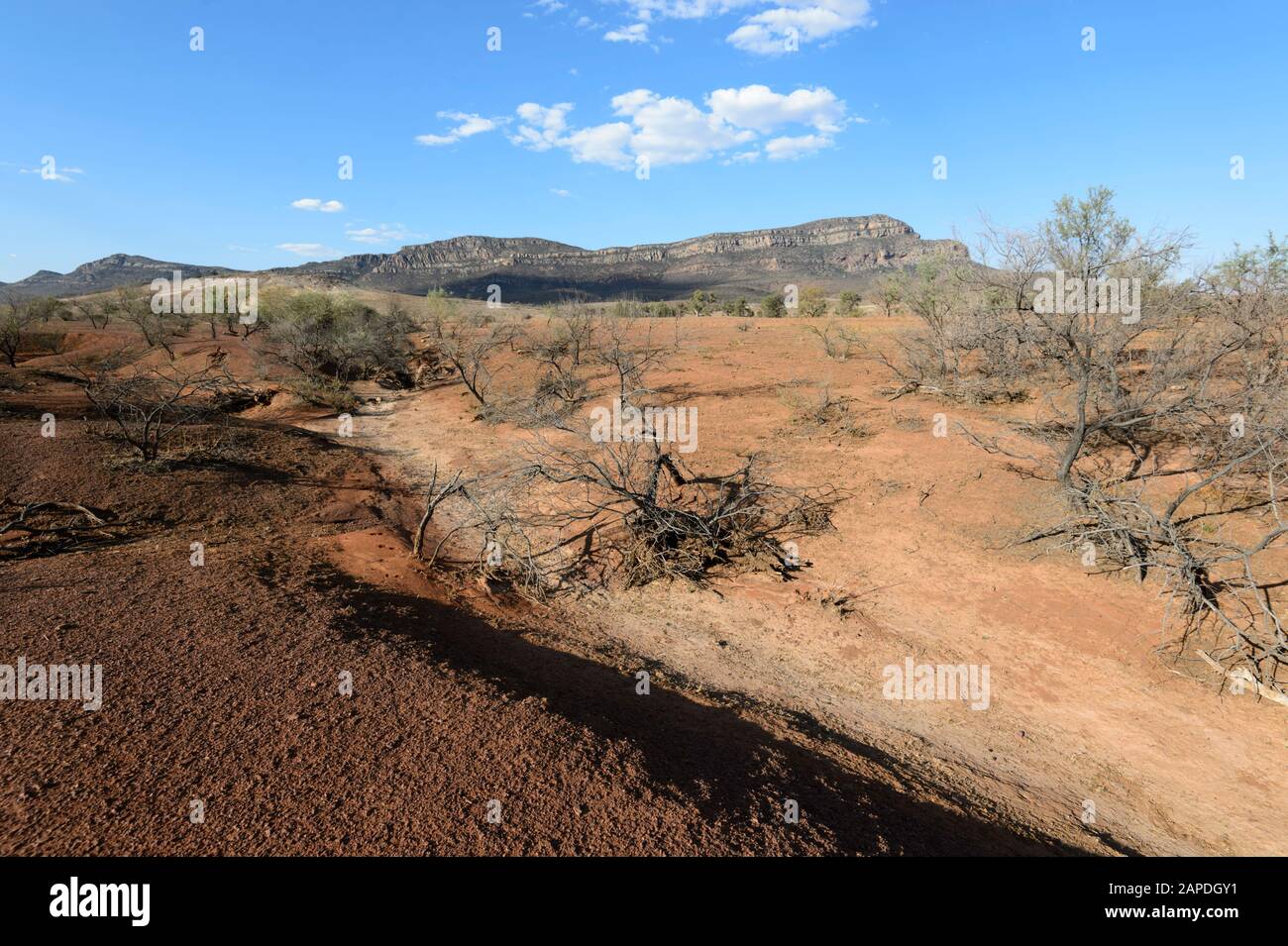 Arid landscape australia hi-res stock photography and images - Alamy