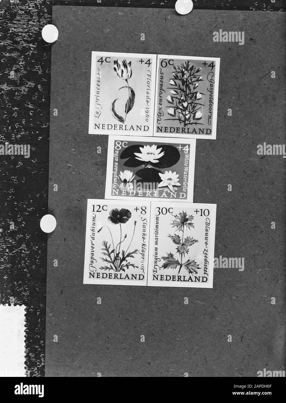 Arrival of Dr. Drees and wife in Israel, summer stamps 1960 Date: 23 ...