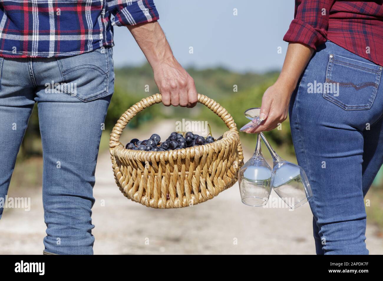 rear view of couple carrying basket of grapes and wineglasses Stock ...