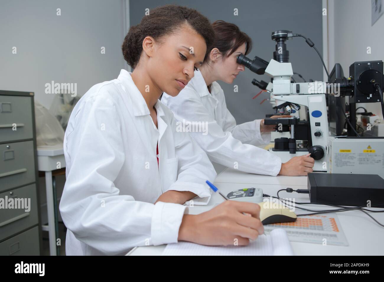 two female science working with microscopes in a laboratory Stock Photo ...