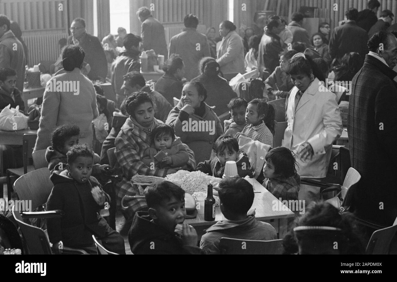 Ambonese back to Indonesia. Weeping miniature Ambonese Date: March 1 ...