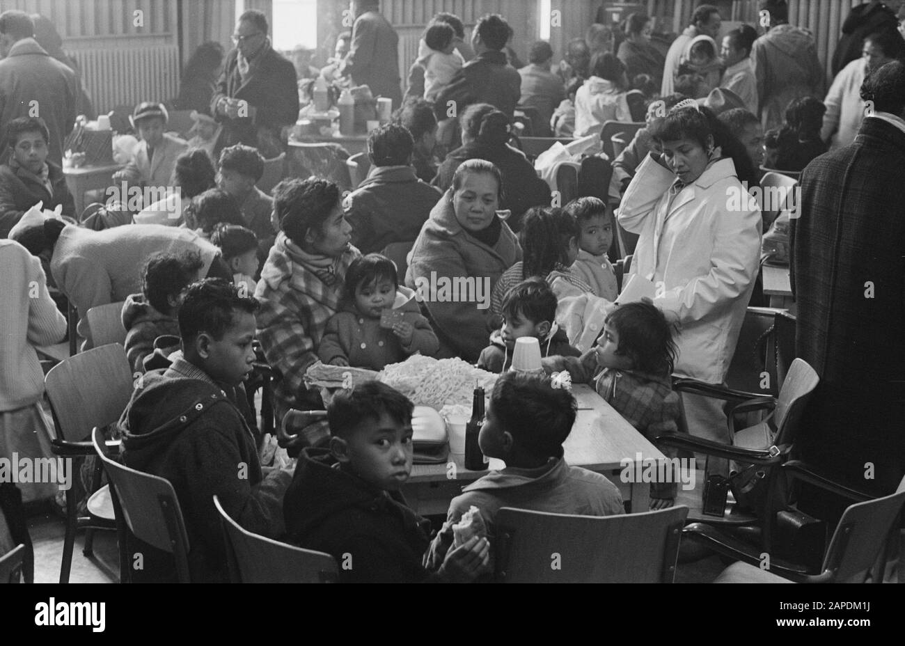 Ambonese back to Indonesia. Weeping miniature Ambonese Date: March 1 ...