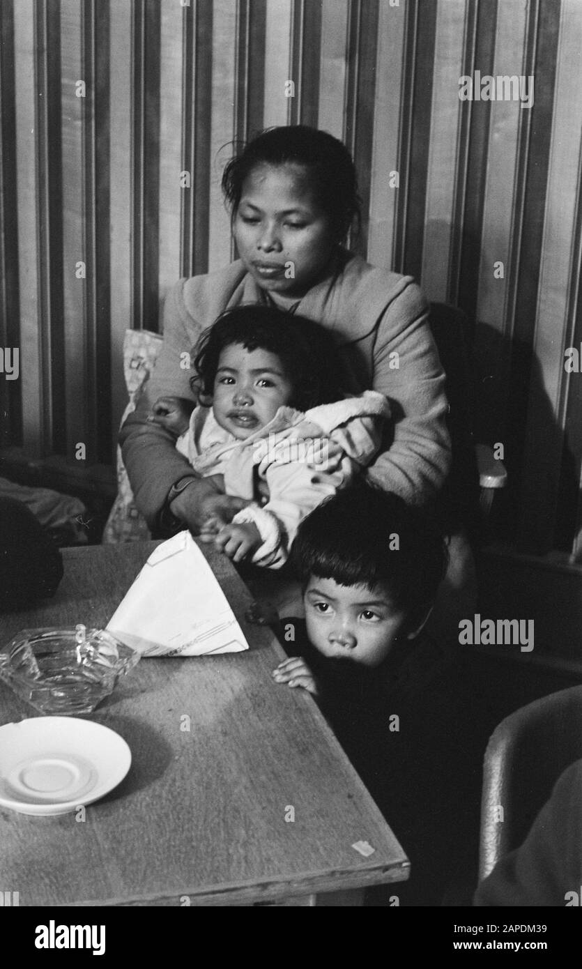 Ambonese back to Indonesia. Weeping miniature Ambonese Date: March 1 ...