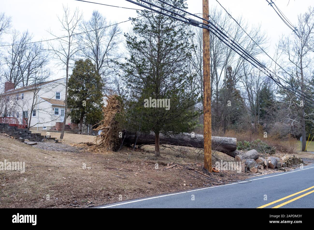 House fallen tree hi-res stock photography and images - Alamy