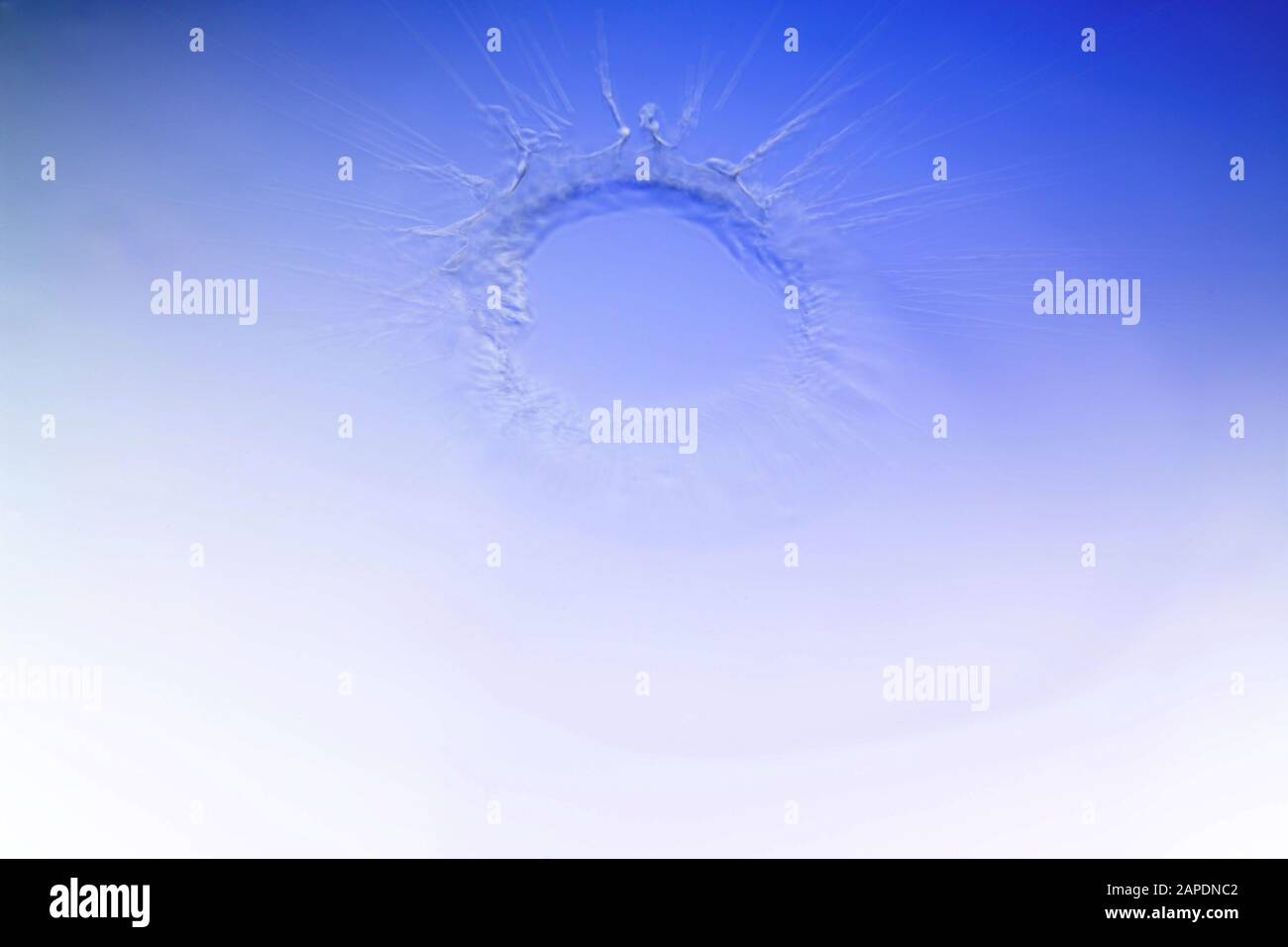 Wasser - Water Stock Photo - Alamy