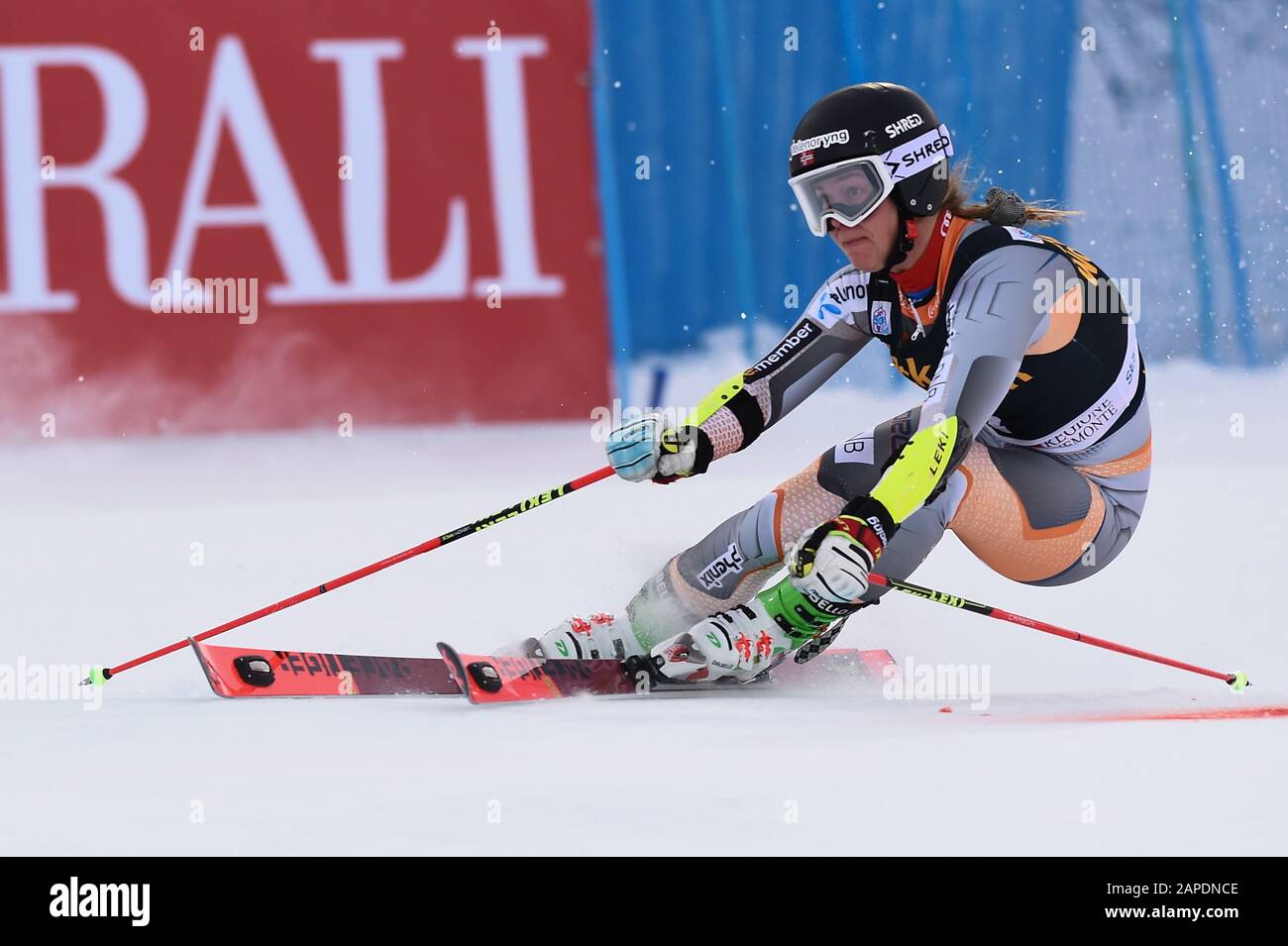 Robinson alice nzl hi-res stock photography and images - Alamy