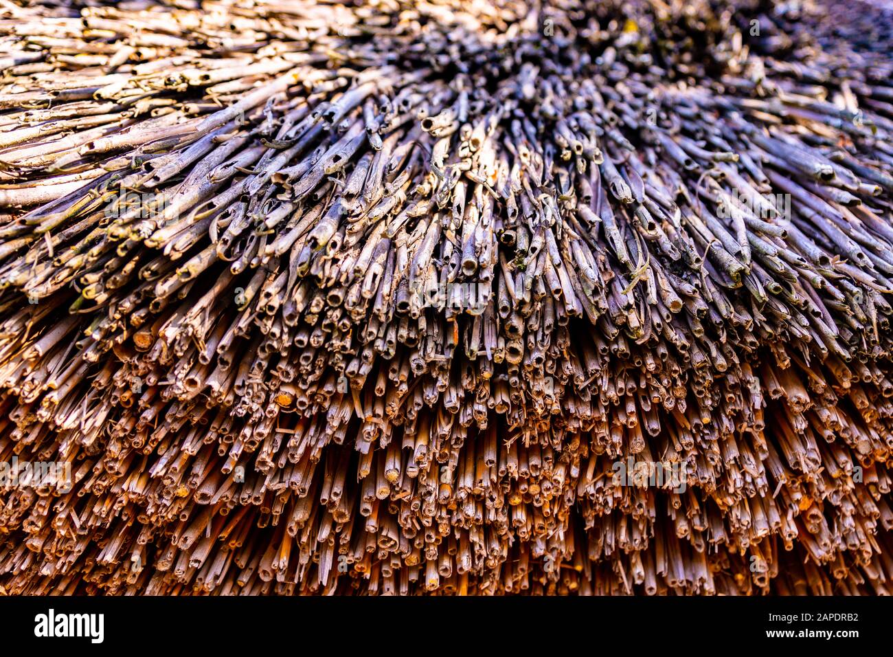 Thatch roof texture background hi-res stock photography and images - Alamy