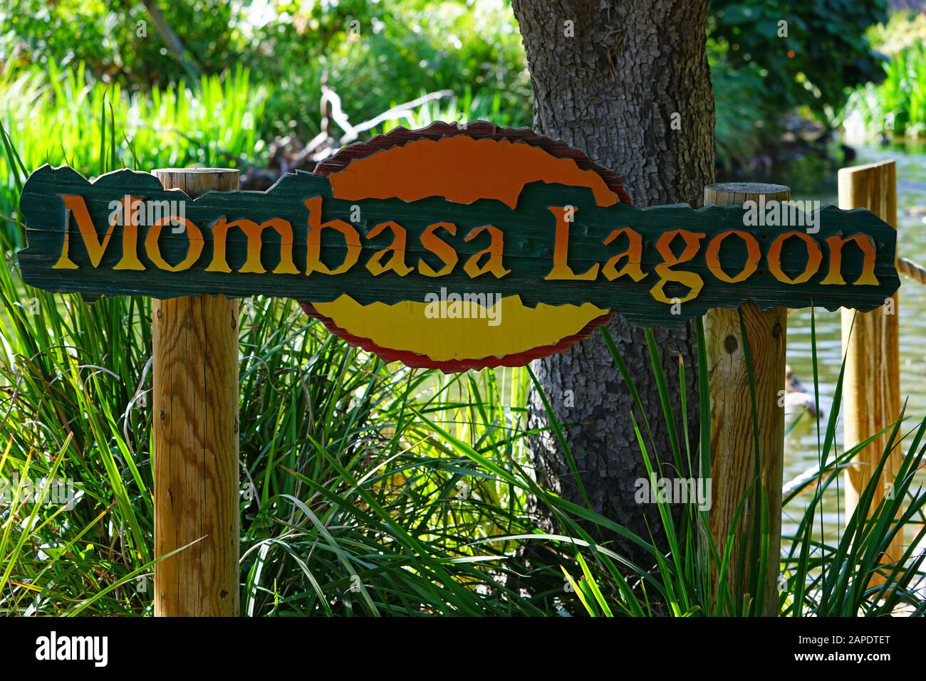 San diego wild animal park hi-res stock photography and images - Alamy