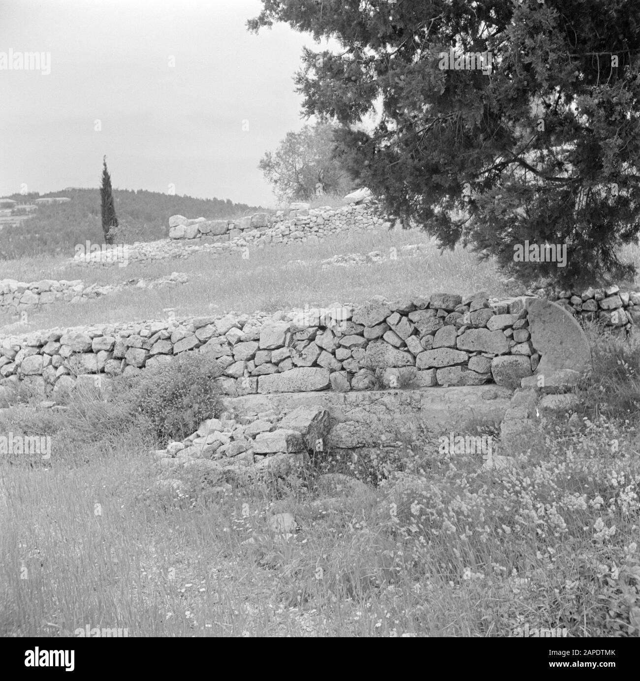 Israel 1948-1949: Abu Ghosh Description: Antique tomb cellar at Abu ...