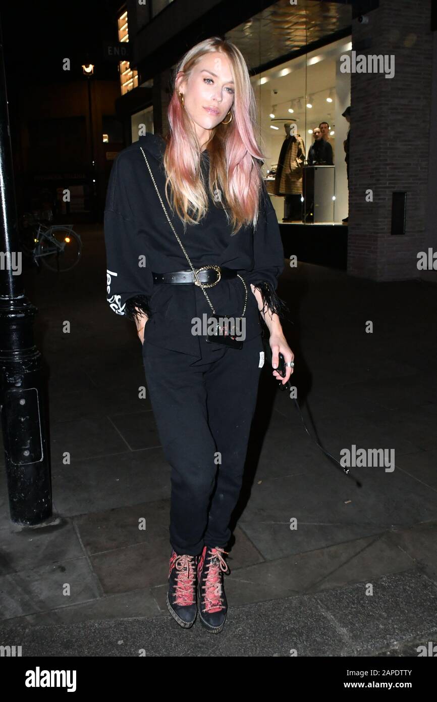 London, UK. 22nd Jan, 2020. Mary Charteris attends as Project Zero ...