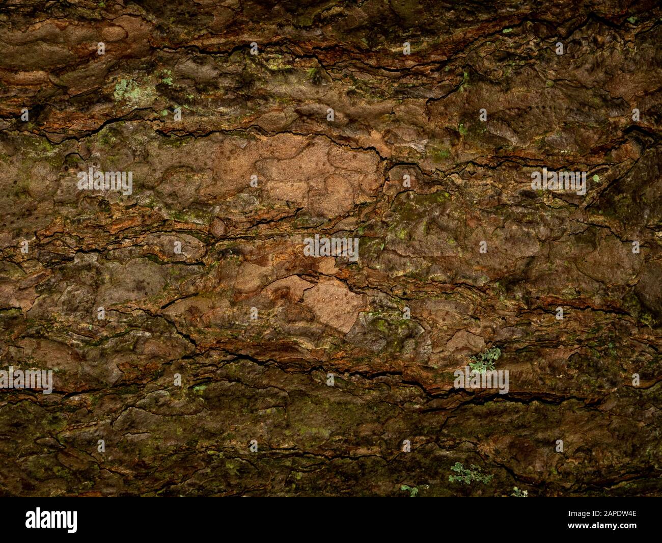 Saturated wood hi-res stock photography and images - Alamy