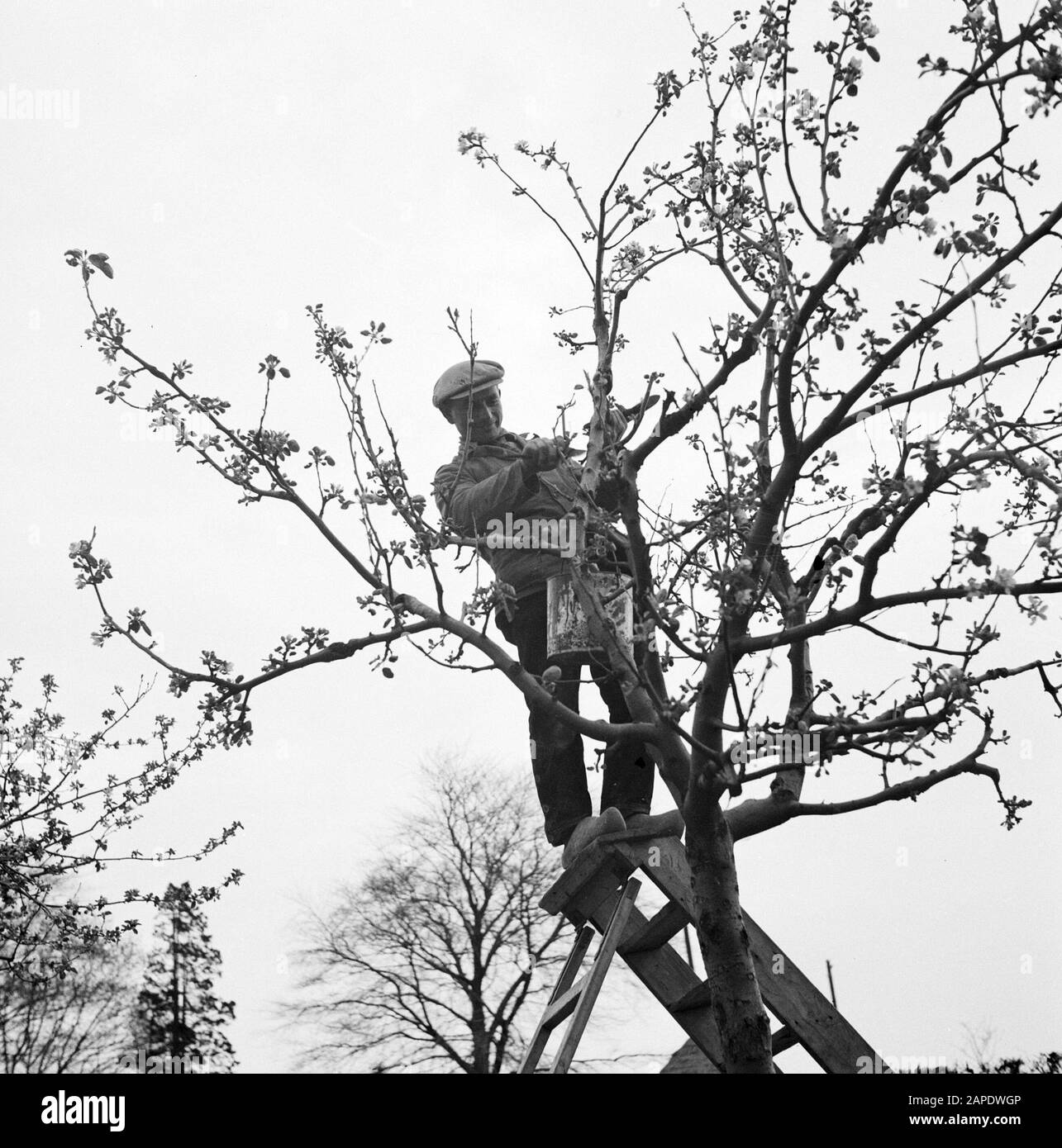 Farm workers 1930s hi-res stock photography and images - Alamy