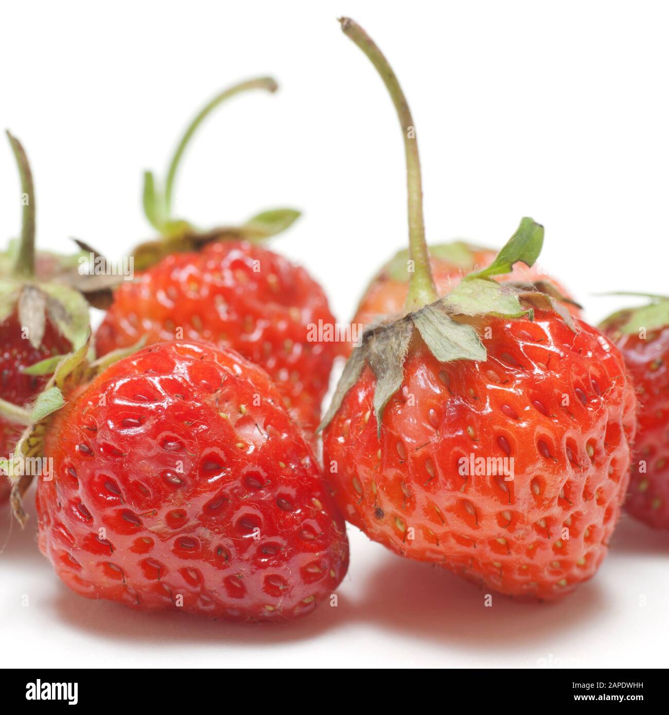 Whole fresh strawberry arrangement isolated on white background Stock ...
