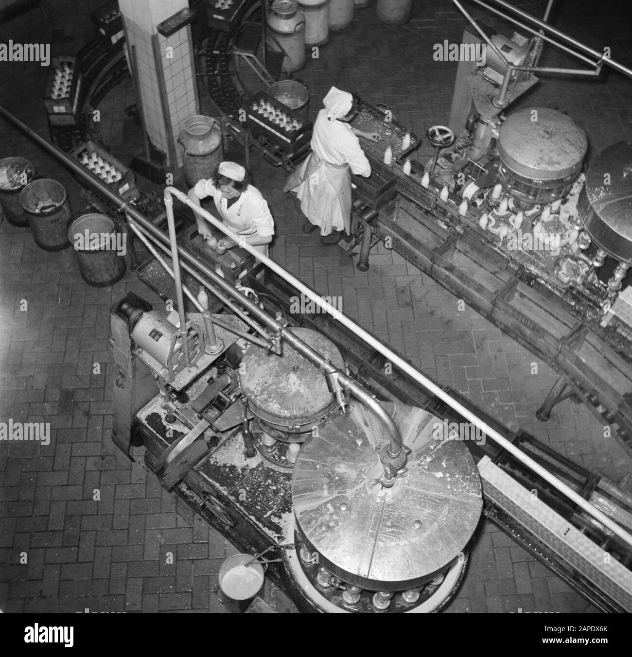 Milk factory in Denmark Description: Workers on the assembly line where ...