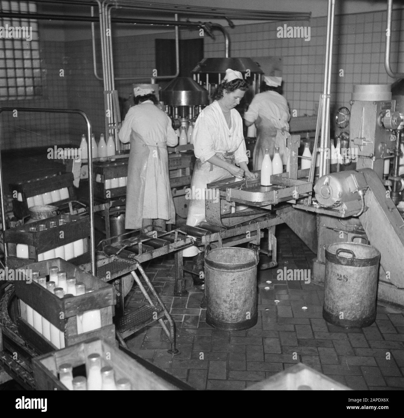 Milk factory in Denmark Description: Workers on the assembly line where ...