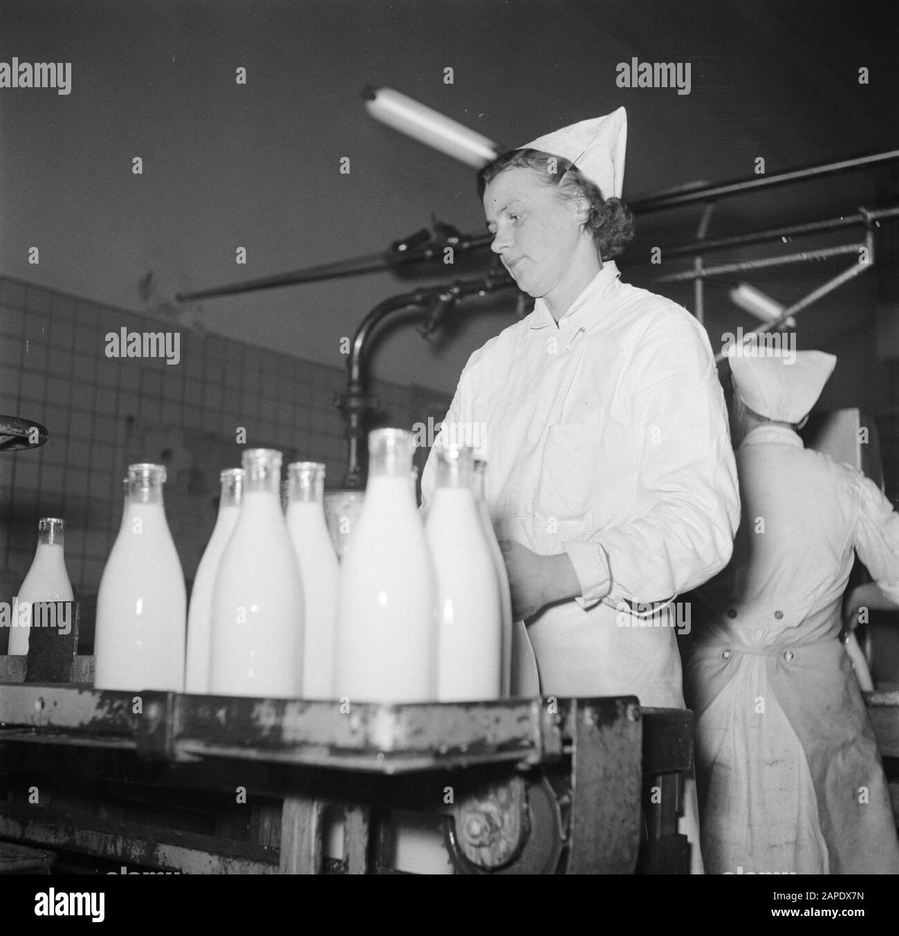 Milk factory in Denmark Description: Workers on the assembly line where ...