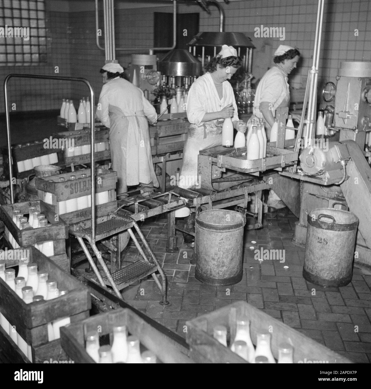 Milk factory in Denmark Description: Workers on the assembly line where ...