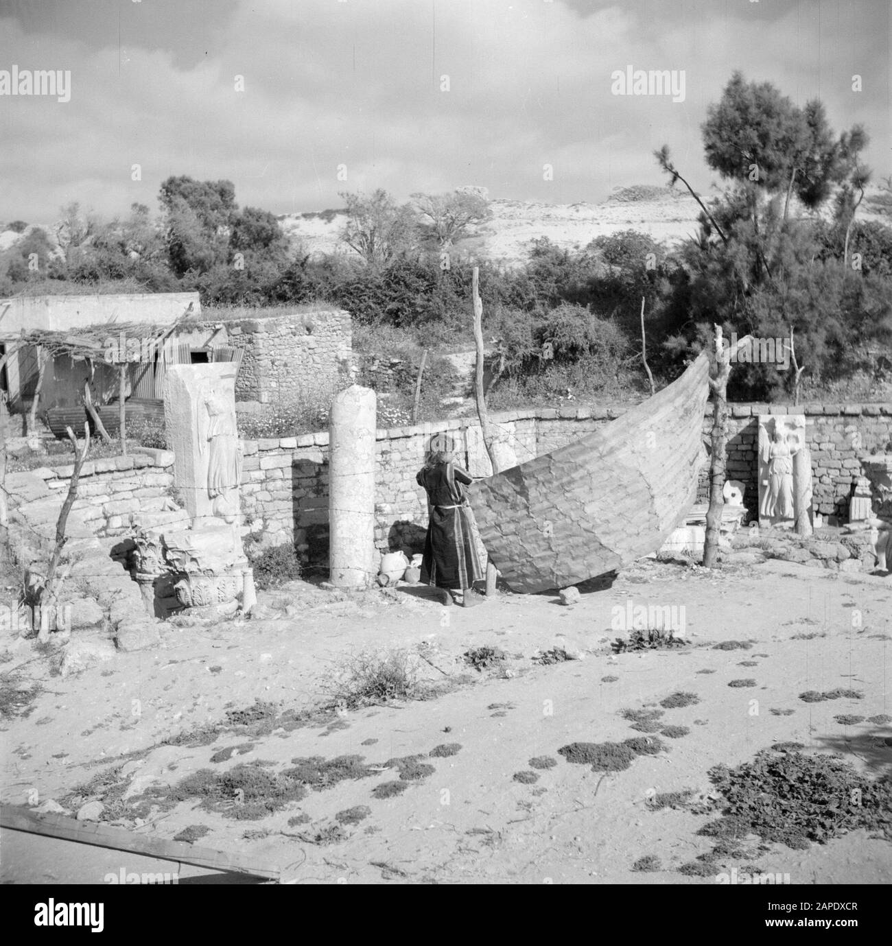 Israel 1948-1949:askalon Description: Archaeological finds - sculpture ...