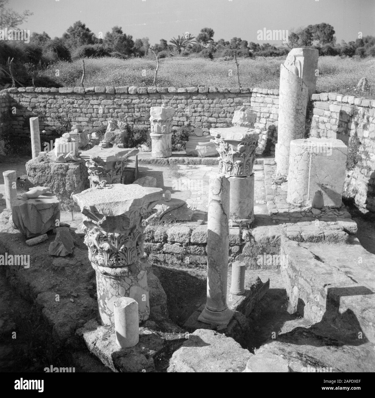 Israel 1948-1949:askalon Description: Archaeological finds, including ...
