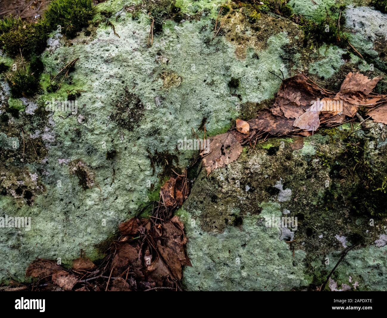 Beautiful colorful texture of natural stone Stock Photo - Alamy