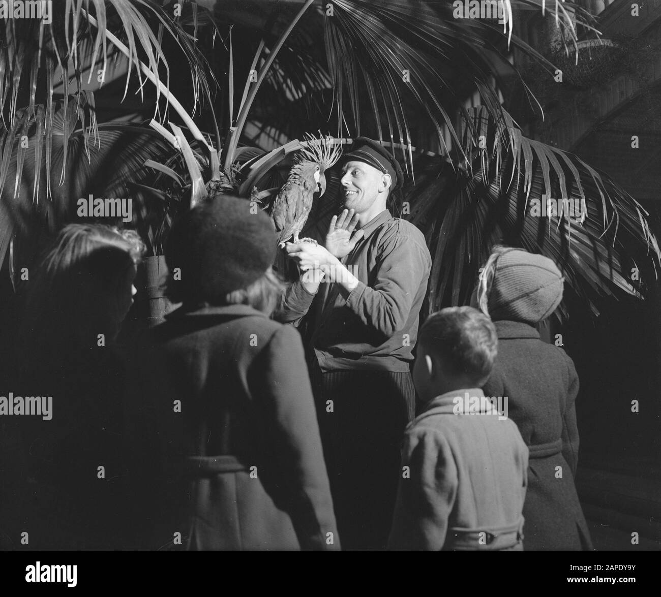 Artis Date: 11 January 1946 Institution name: Artis Stock Photo - Alamy