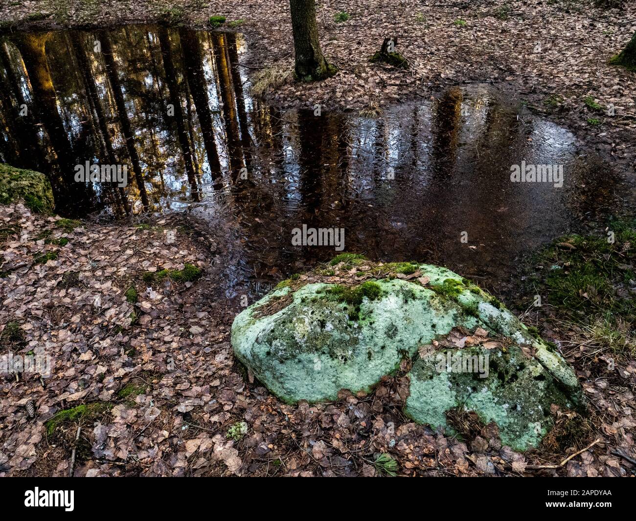 A large amount of water melted after winter Stock Photo - Alamy
