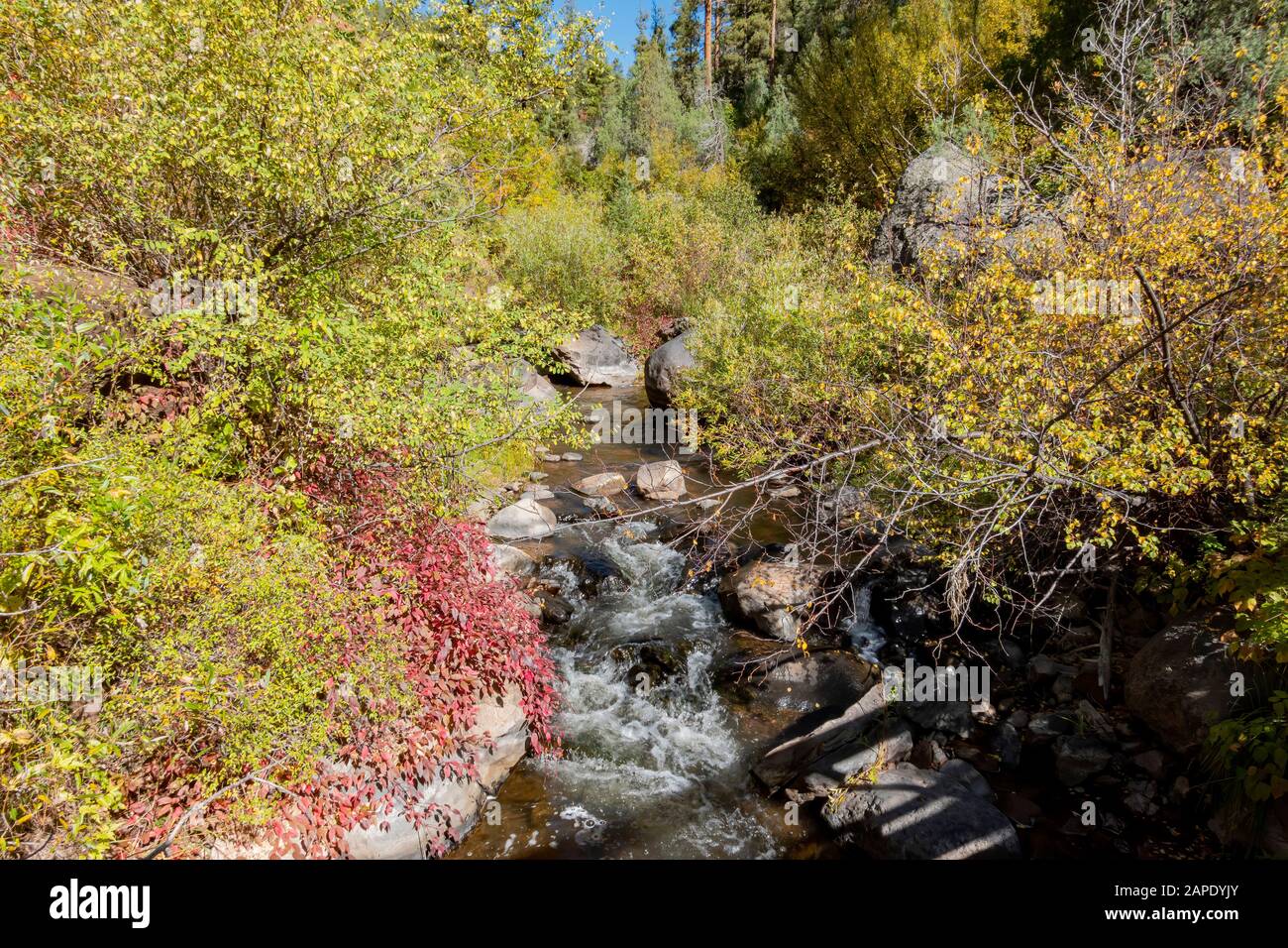 Beautiful landscape of Spence Hot Springs at New Mexico Stock Photo - Alamy