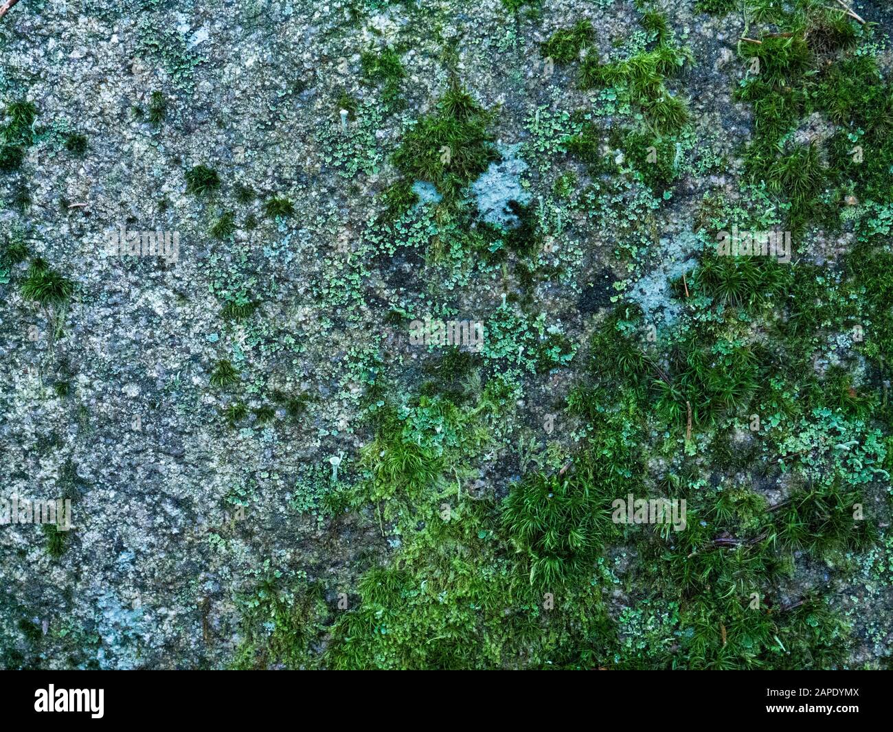 Beautiful colorful texture of natural stone Stock Photo - Alamy