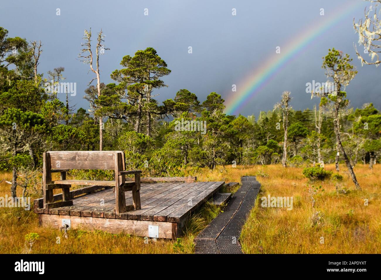 Muskeg hi-res stock photography and images - Alamy