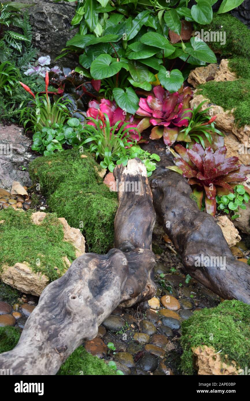 traditional thai garden inside a buddhist temple in Thailand Stock ...