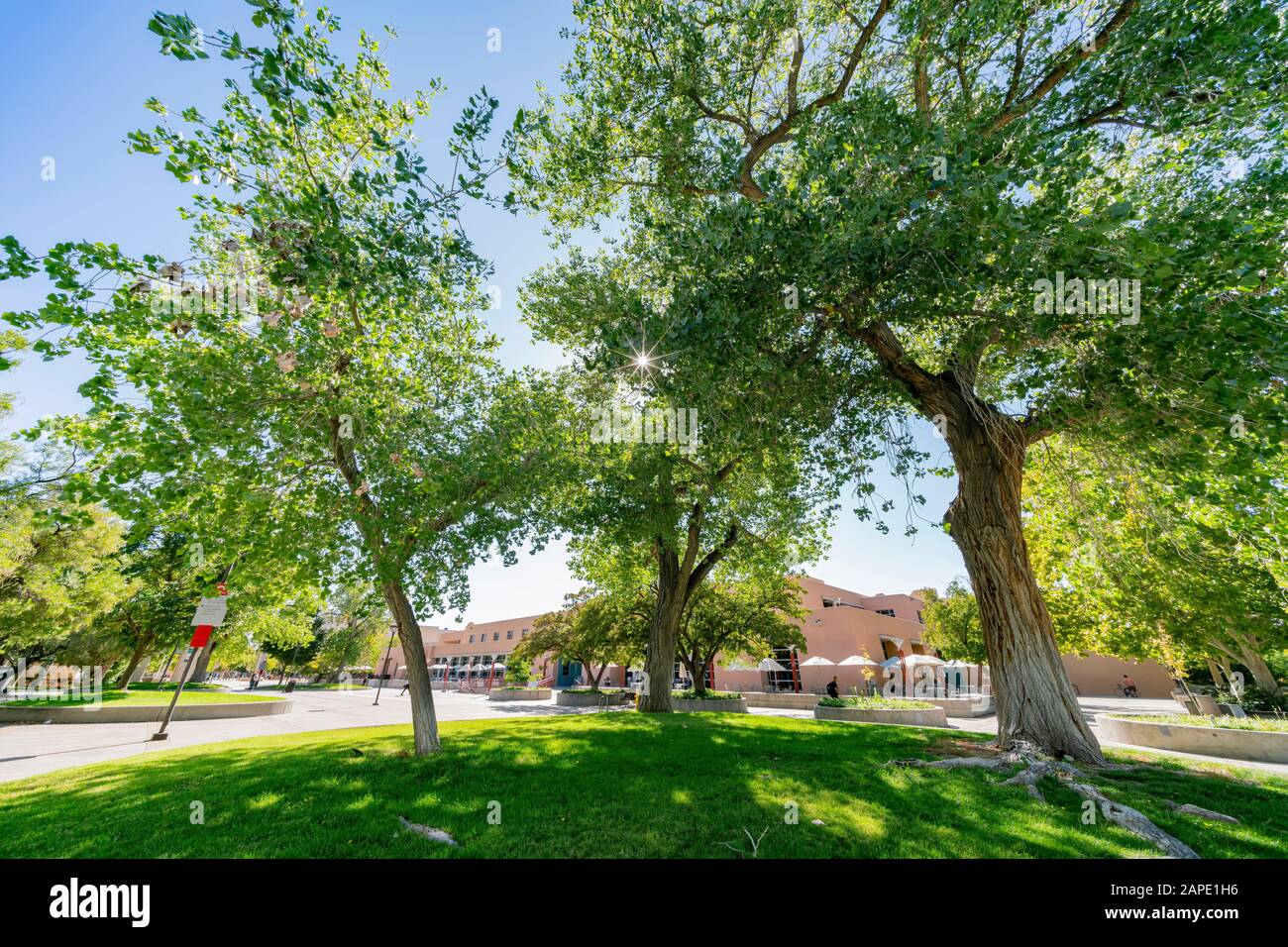 Sunny view of the beautiful campus of The University of New Mexico at ...