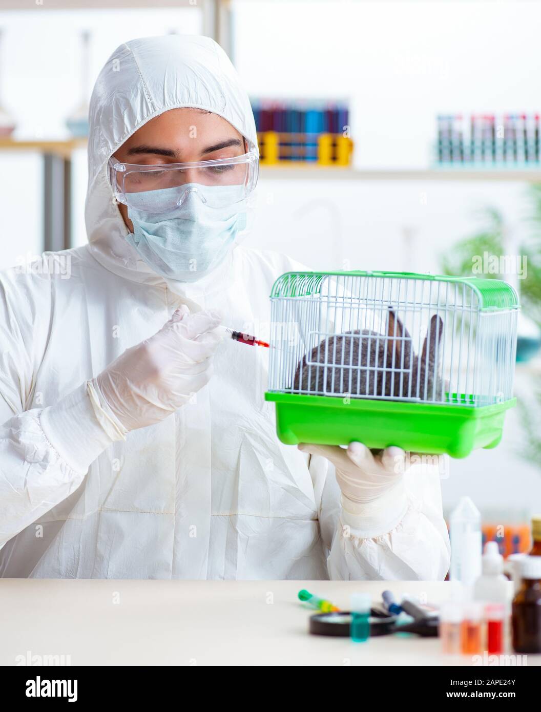 The scientist doing testing on animals rabbit Stock Photo - Alamy